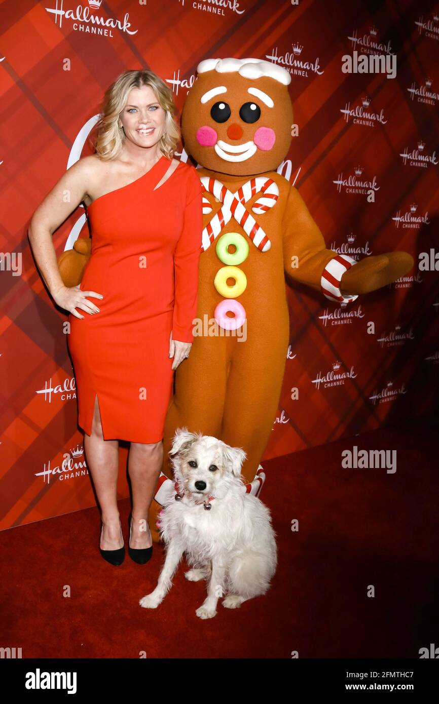 Alison sweeney happy gingerbread man hi-res stock photography and ...