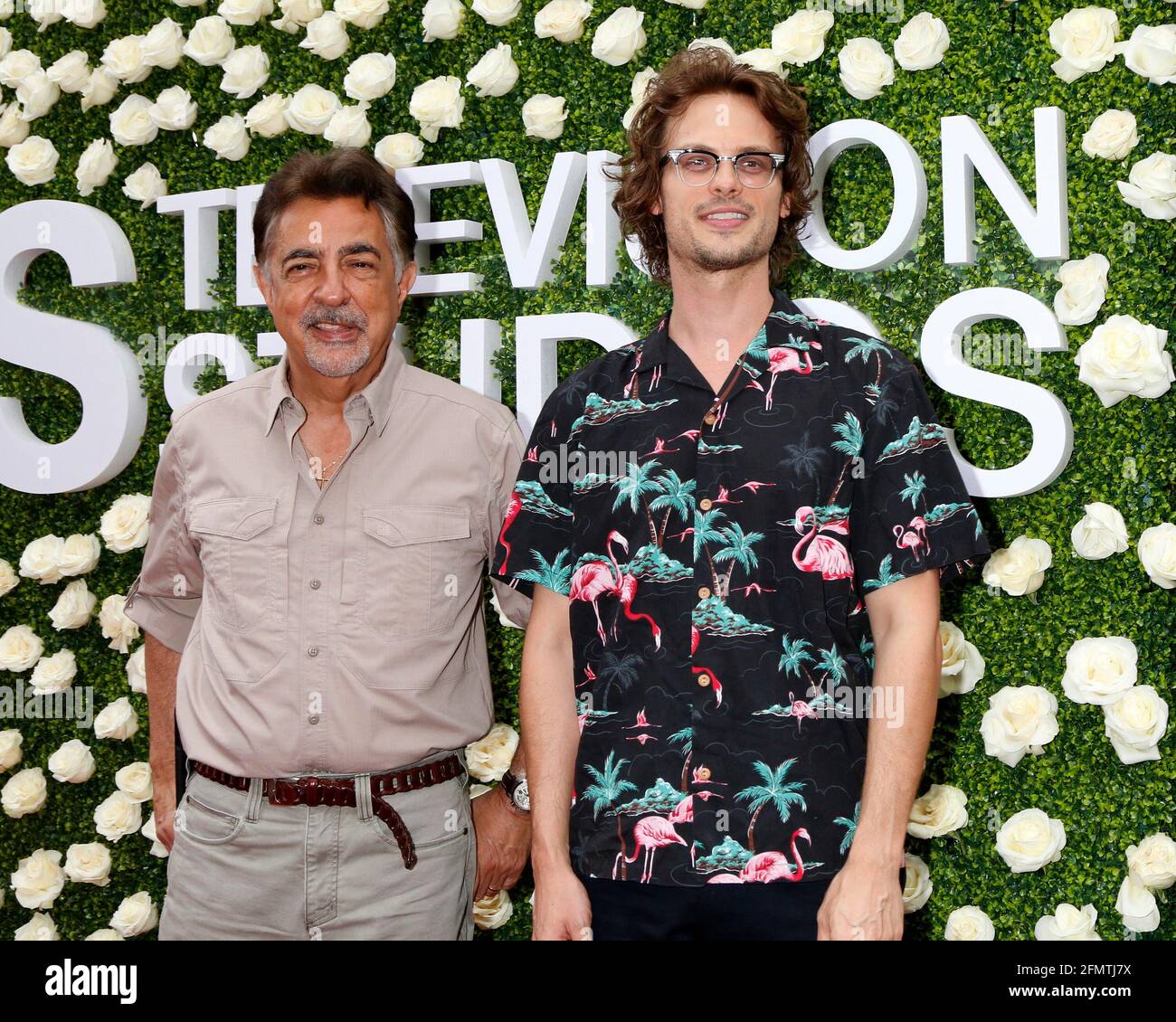 Matthew gray gubler joe mantegna hi-res stock photography and images ...