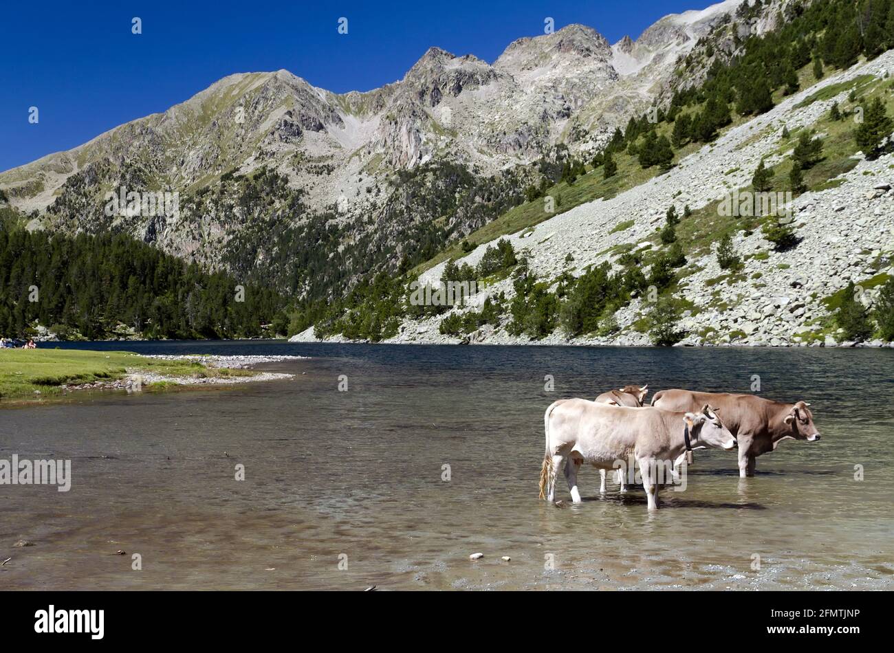 Lake National Park Aiguestortes Estany Llong to 2000 m. high Stock ...
