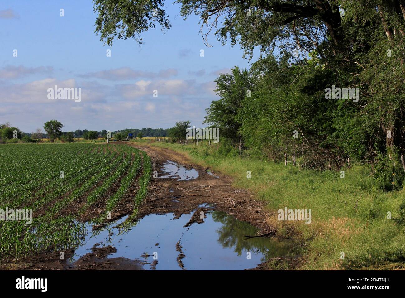 Kansas Crop High Resolution Stock Photography and Images - Alamy