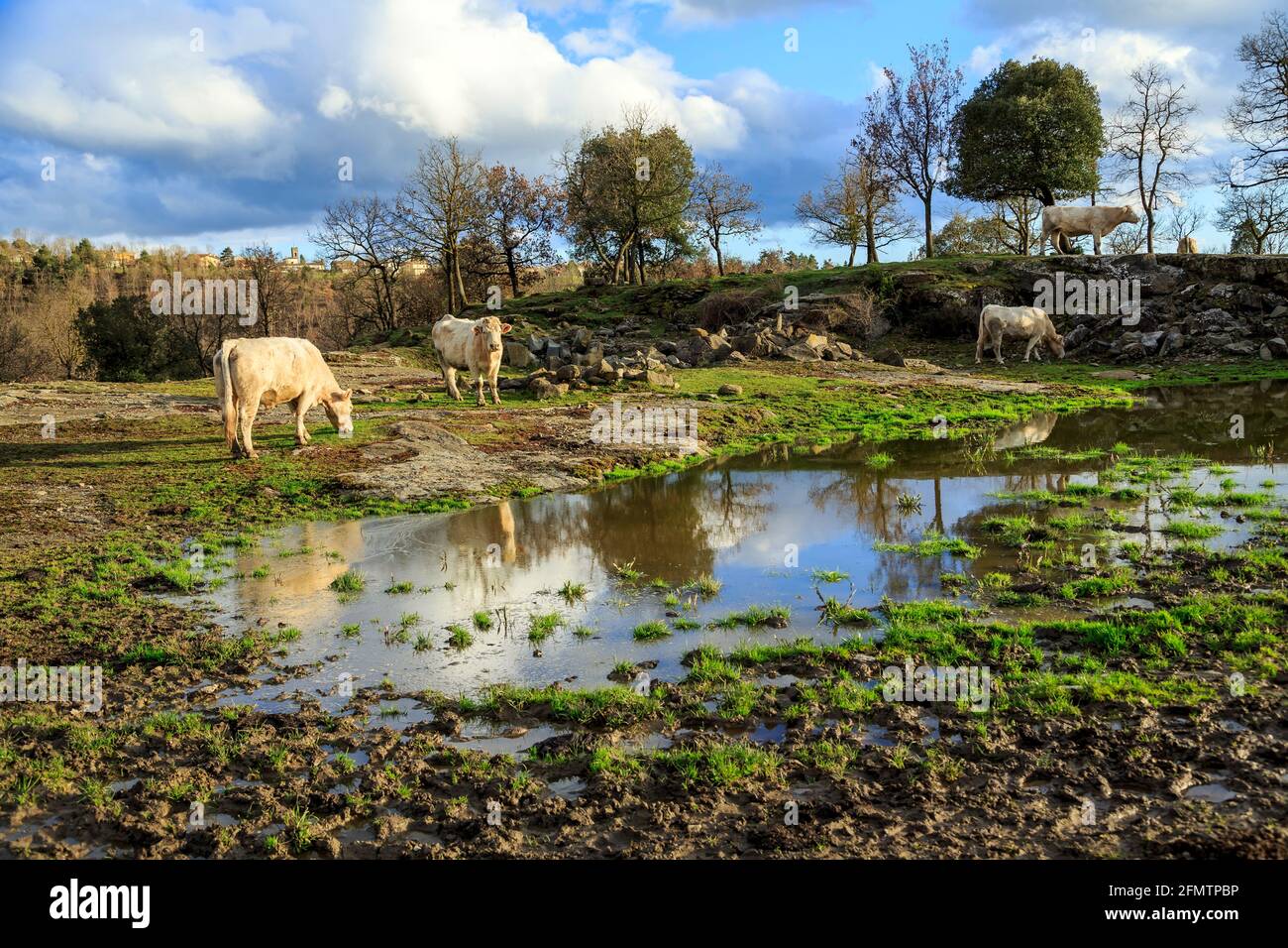 Catalonian Countryside High Resolution Stock Photography and Images - Alamy