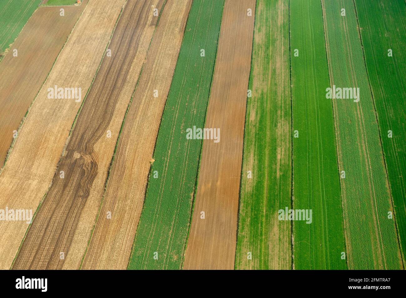 aero, air, beauty, country, earth, weather, earth, green, spring ...