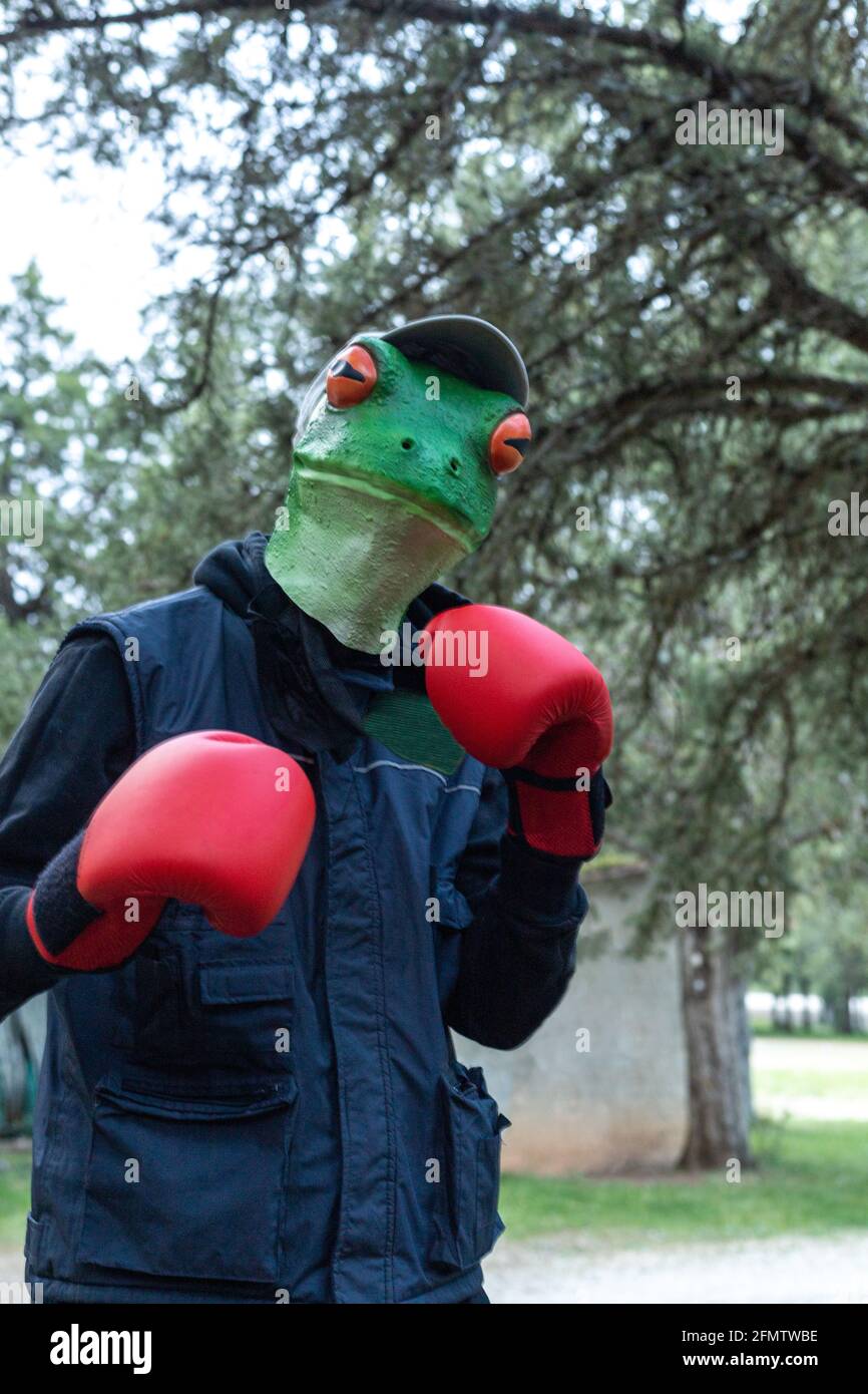 funny man with animal mask of a frog wearing a cap and red boxing ...