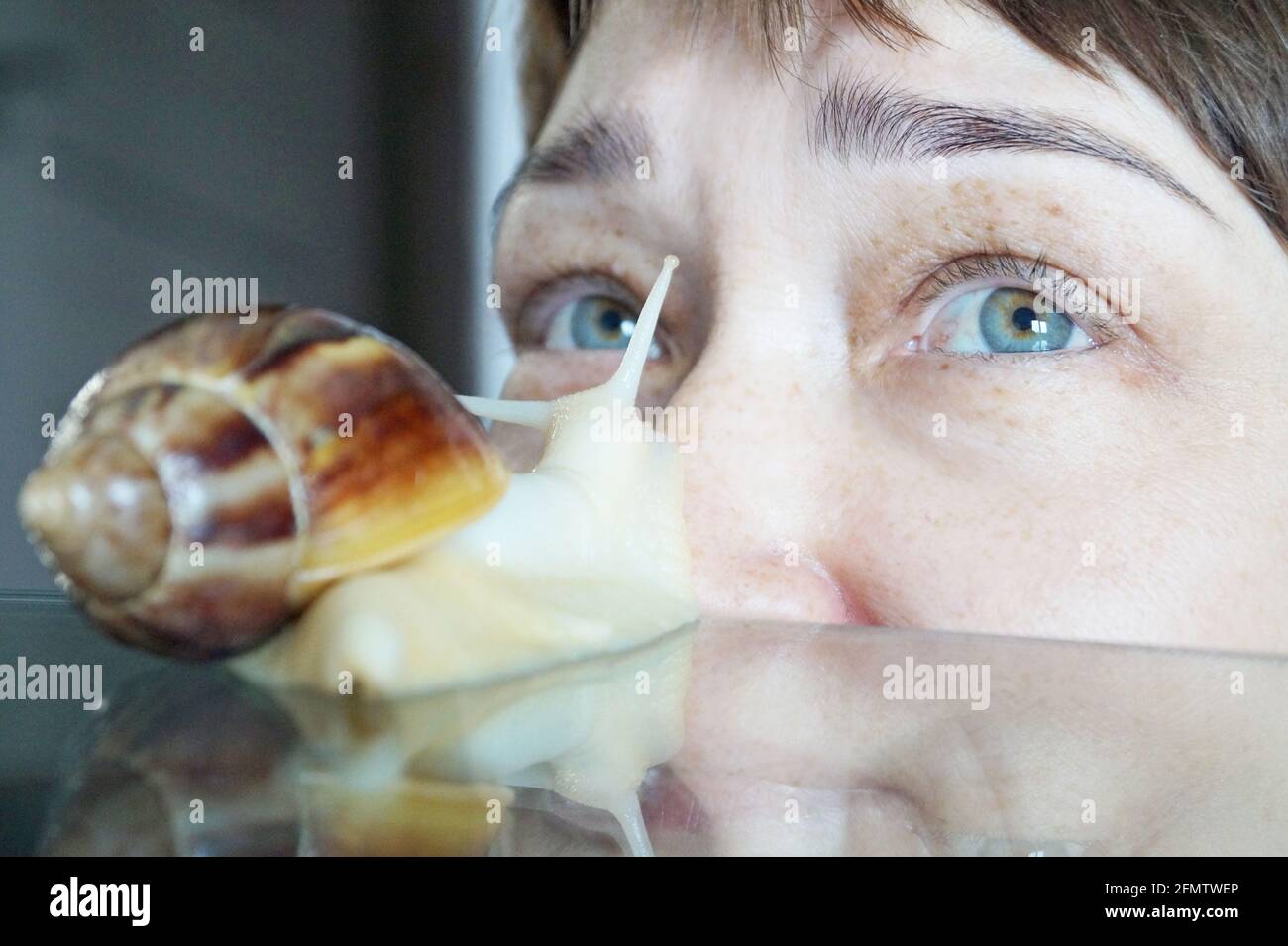 Snail woman face hi-res stock photography and images - Alamy