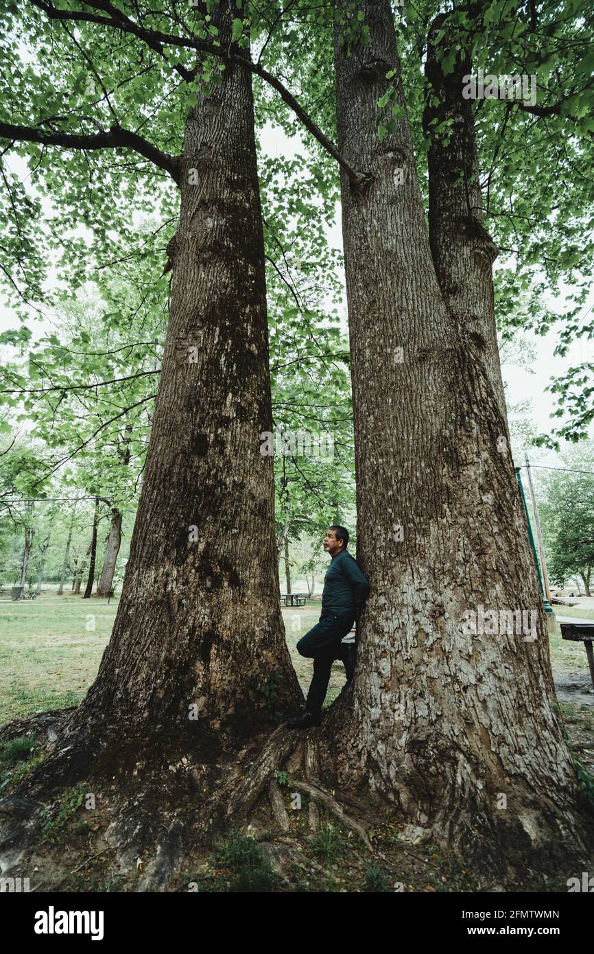 Man in tall tree hi-res stock photography and images - Alamy
