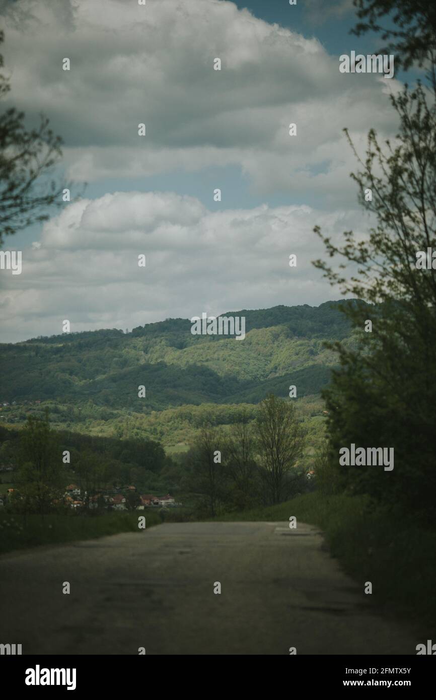 Vertical shot of an empty road stretching into the hillside with trees ...