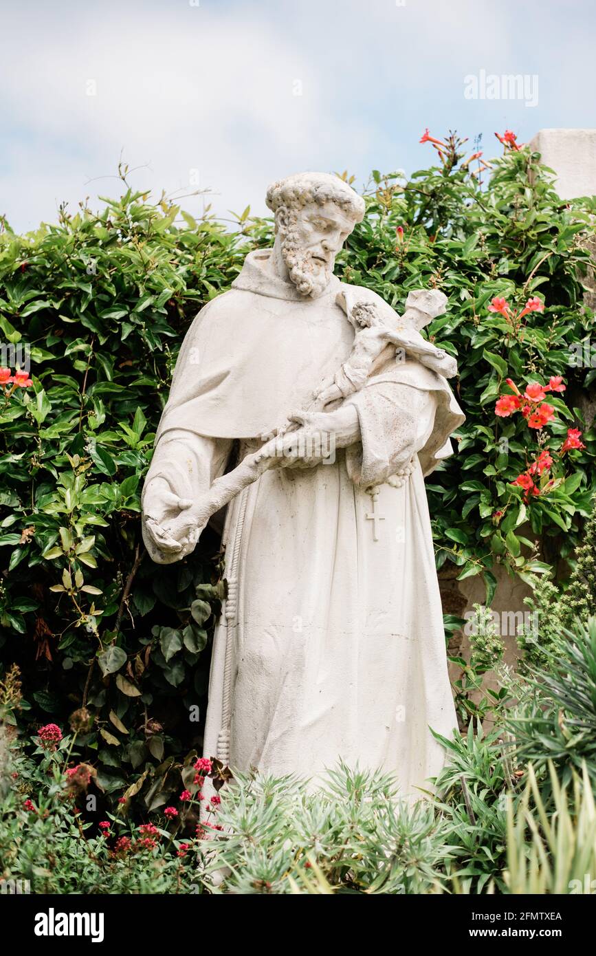 Priest palm hi-res stock photography and images - Alamy