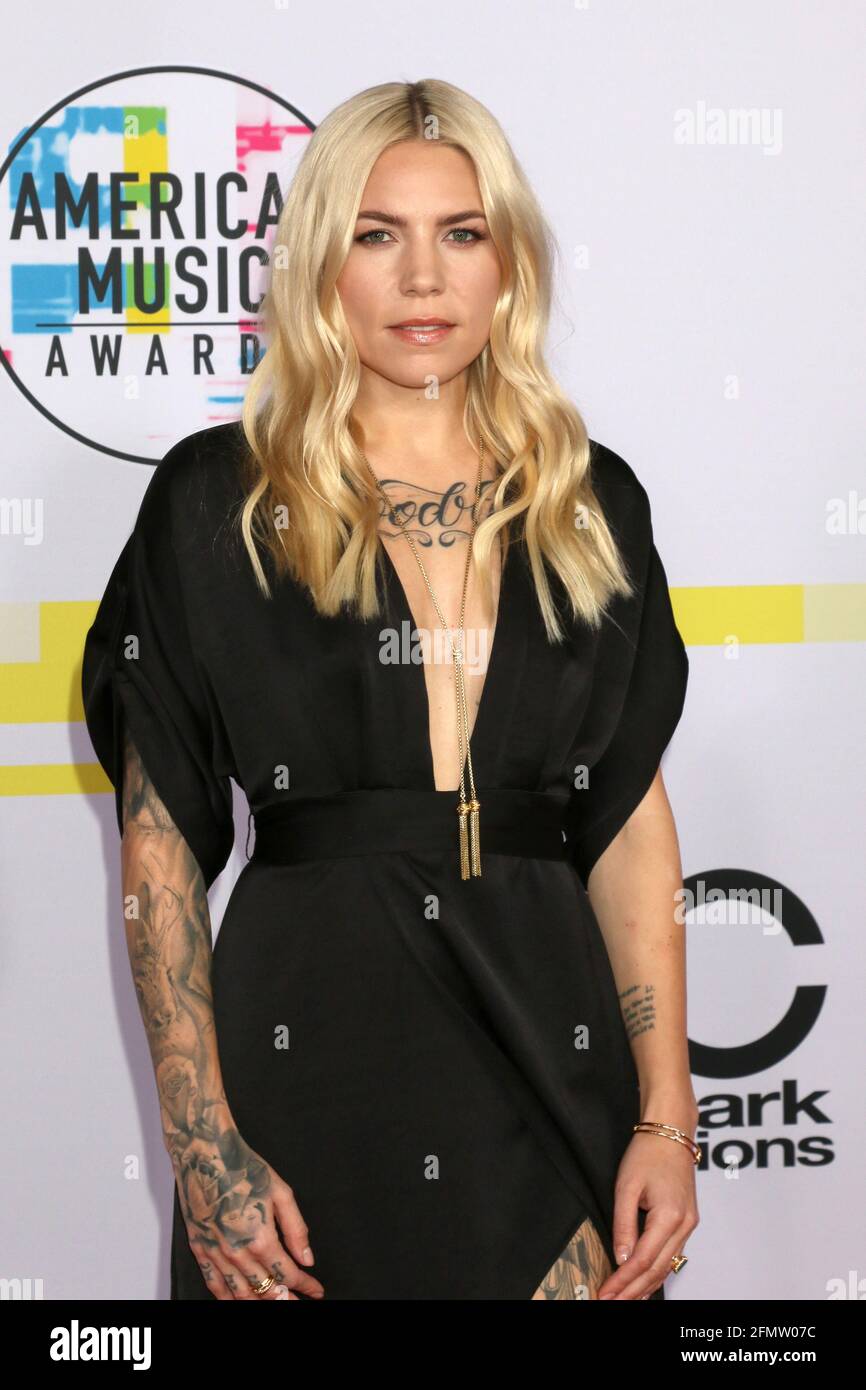 LOS ANGELES - NOV 19: Skylar Grey at the American Music Awards 2017 at ...