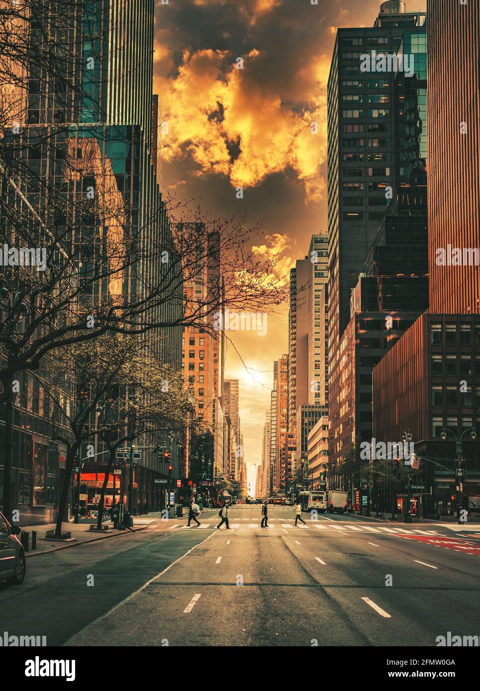 City New York Sunset Sky Clouds Buildings Street Sun People Urban Tree