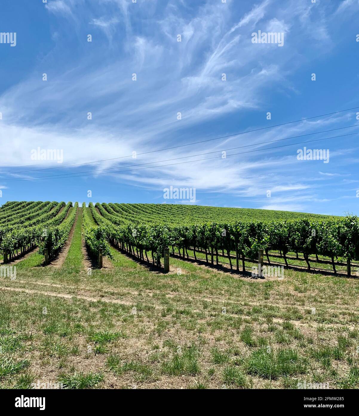 Adelaide hills hi-res stock photography and images - Alamy