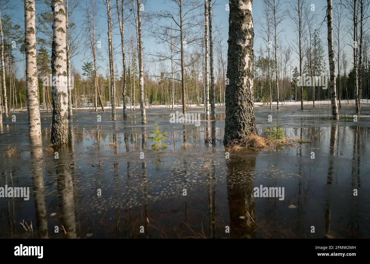 Spring meltwater hi-res stock photography and images - Alamy