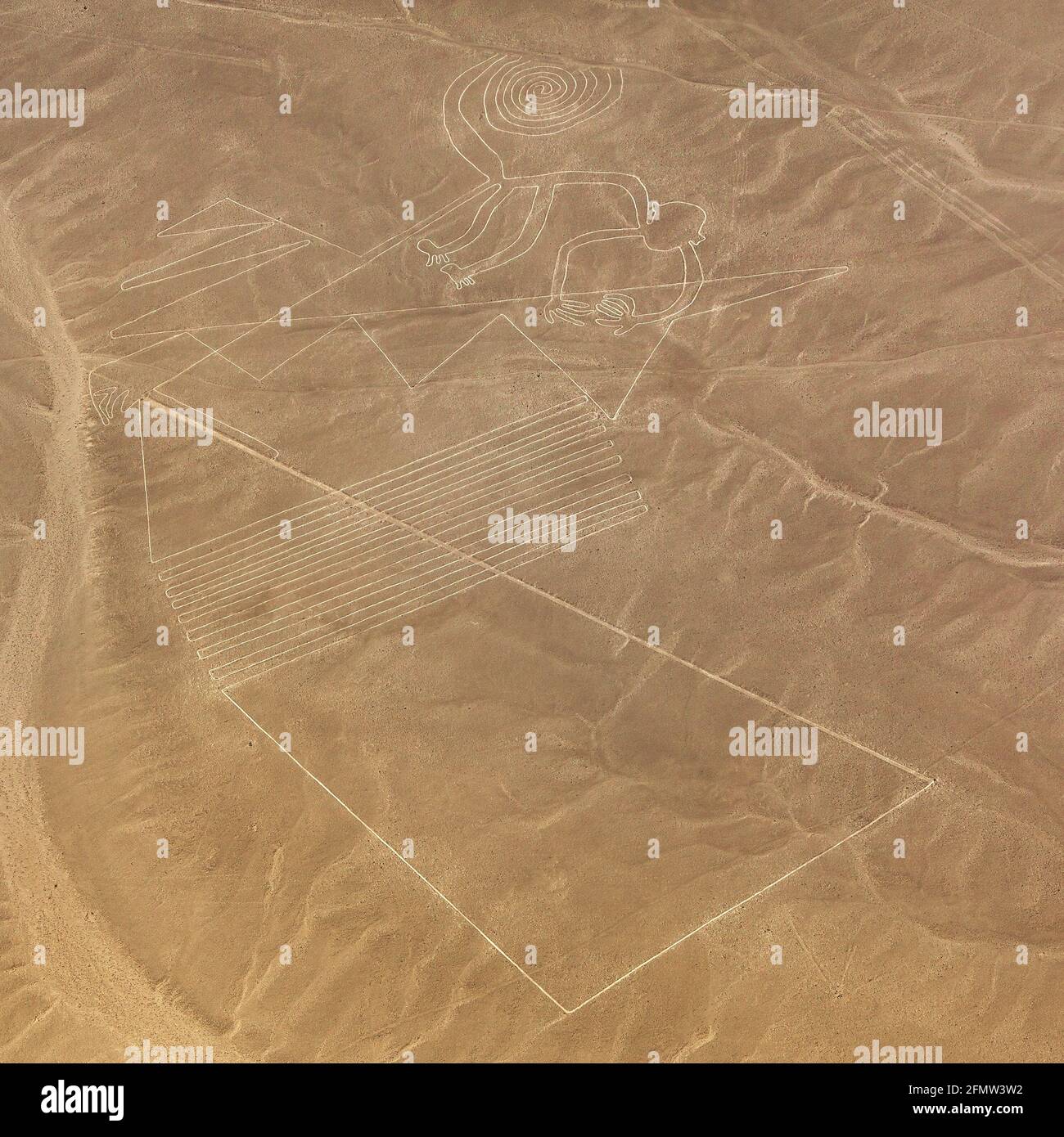 Monkey geoglyph, Nazca mysterious lines and geoglyphs aerial view ...