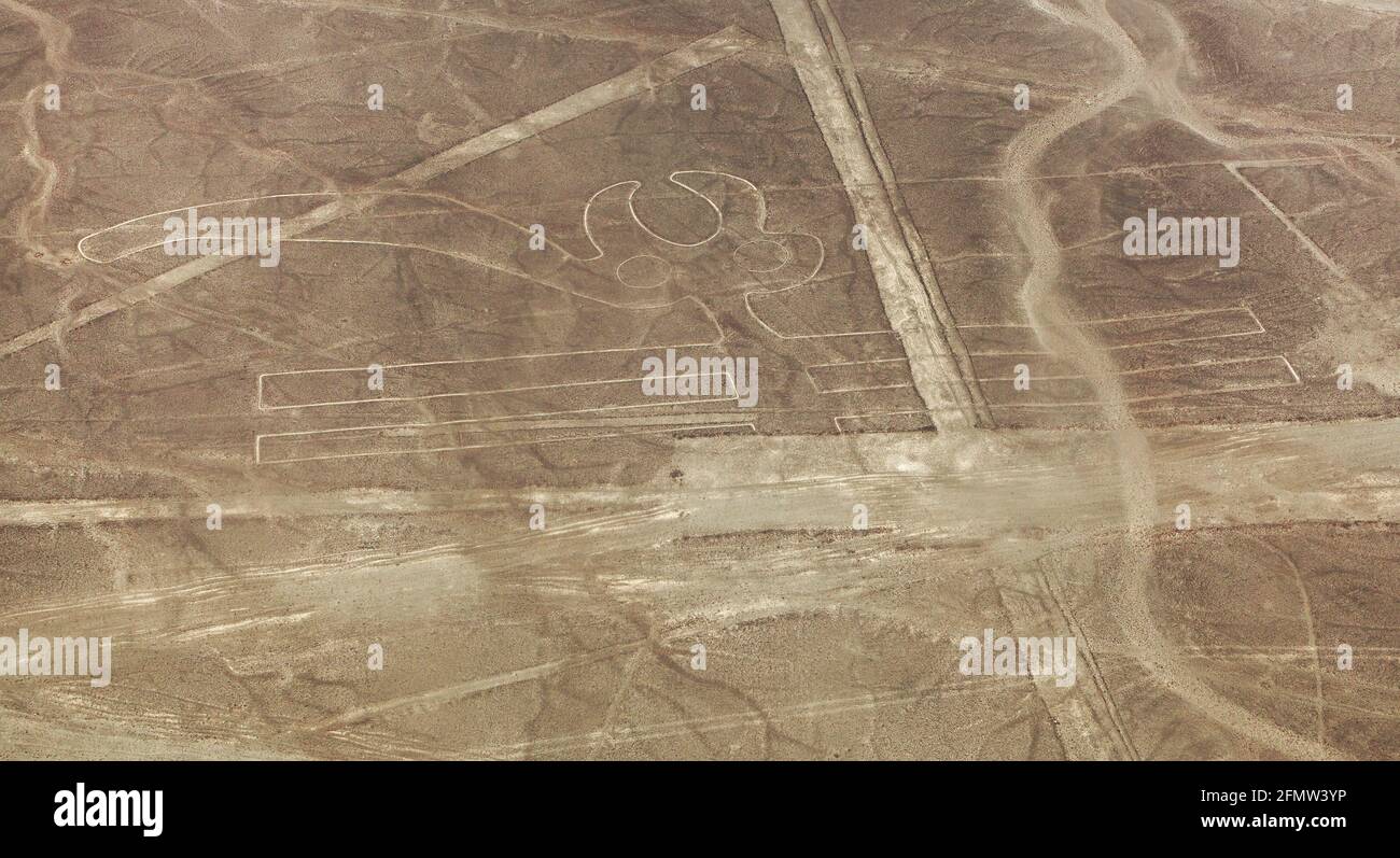 Parrot geoglyph, Nazca or Nasca mysterious lines and geoglyphs aerial ...