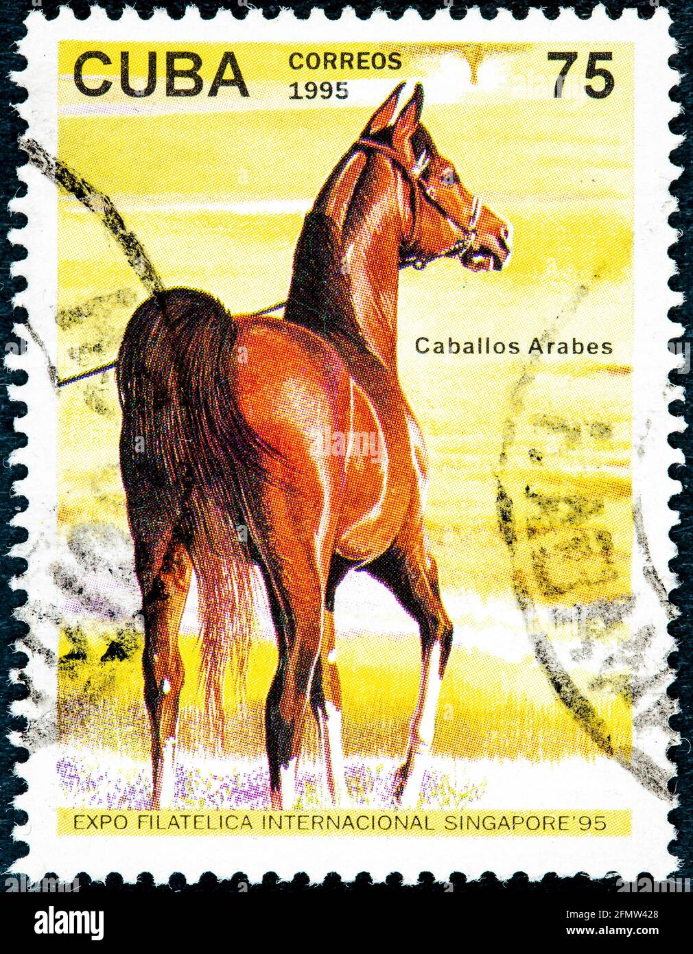 CUBA - CIRCA 1995: A stamp printed in Cuba showing Arab horse circa ... CUBA - CIRCA 1995: A stamp printed in Cuba showing Arab horse circa ...