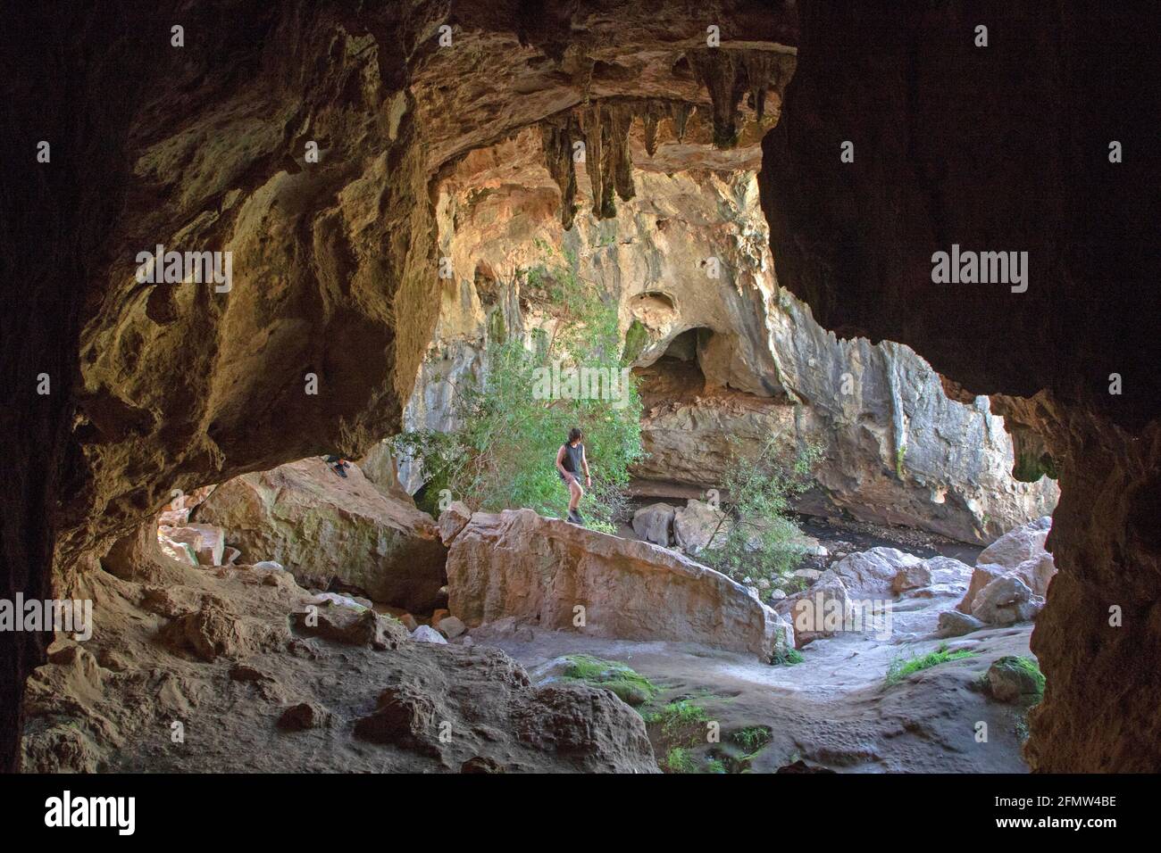 Arch Cave in Borenore Karst Conservation Reserve Stock Photo - Alamy