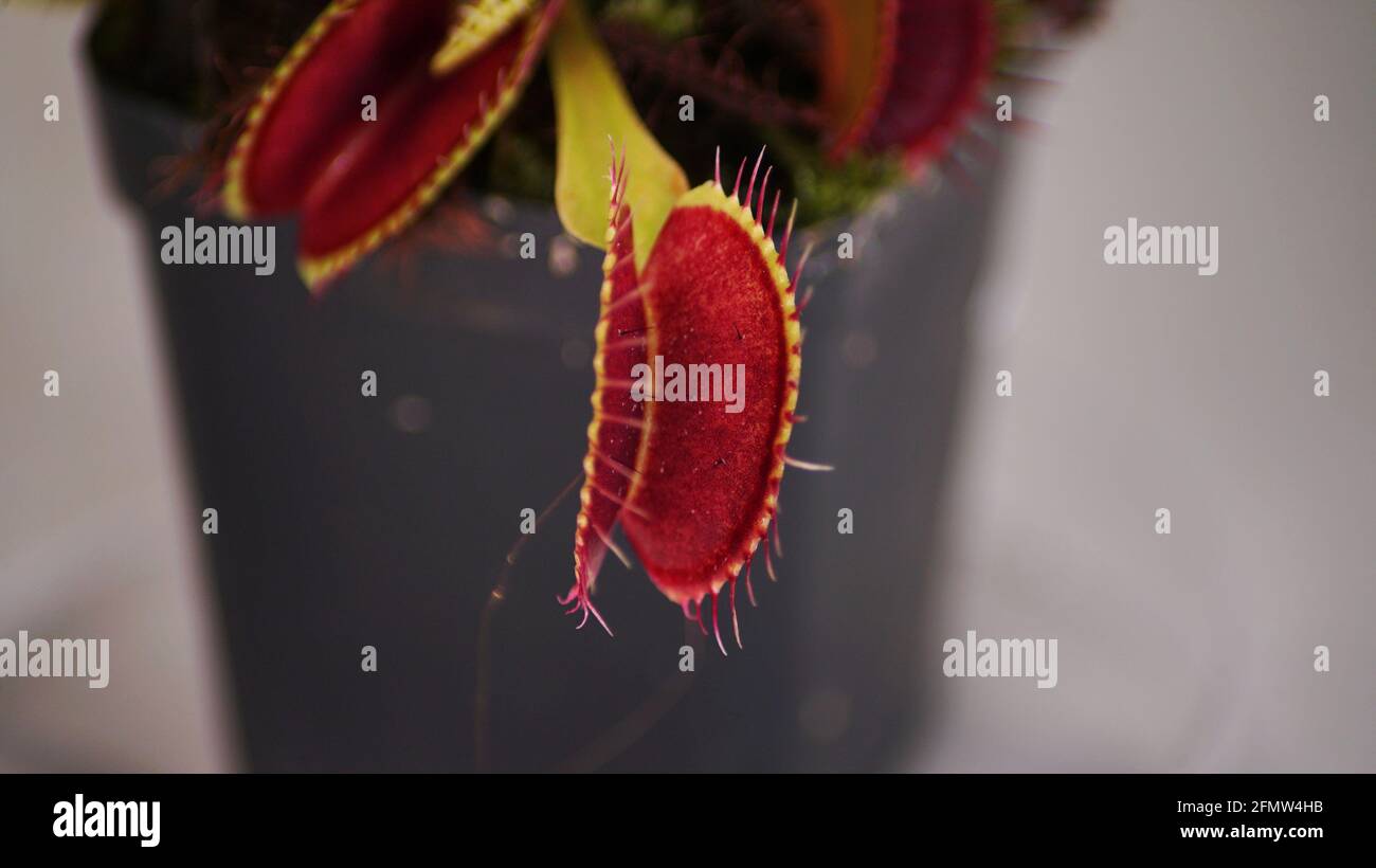 Nanyang technology university hi-res stock photography and images - Alamy