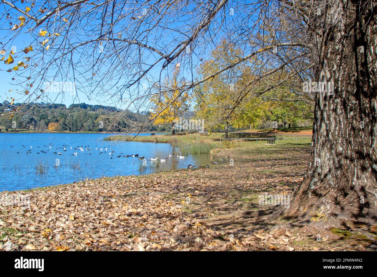 See canobolas hi-res stock photography and images - Alamy