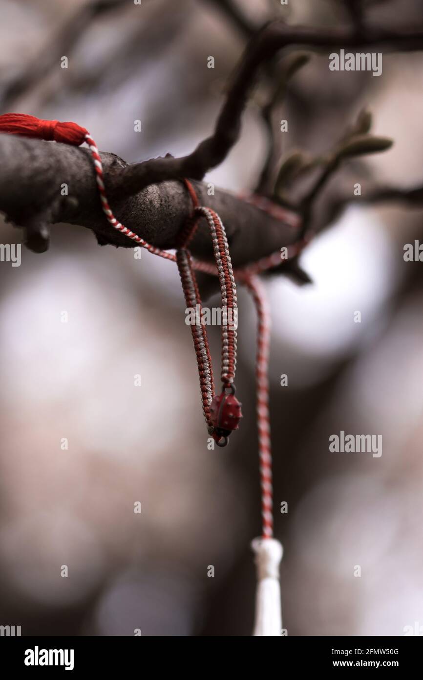 Vertical shot of a threaded string bracelet with a ladybug decoration ...