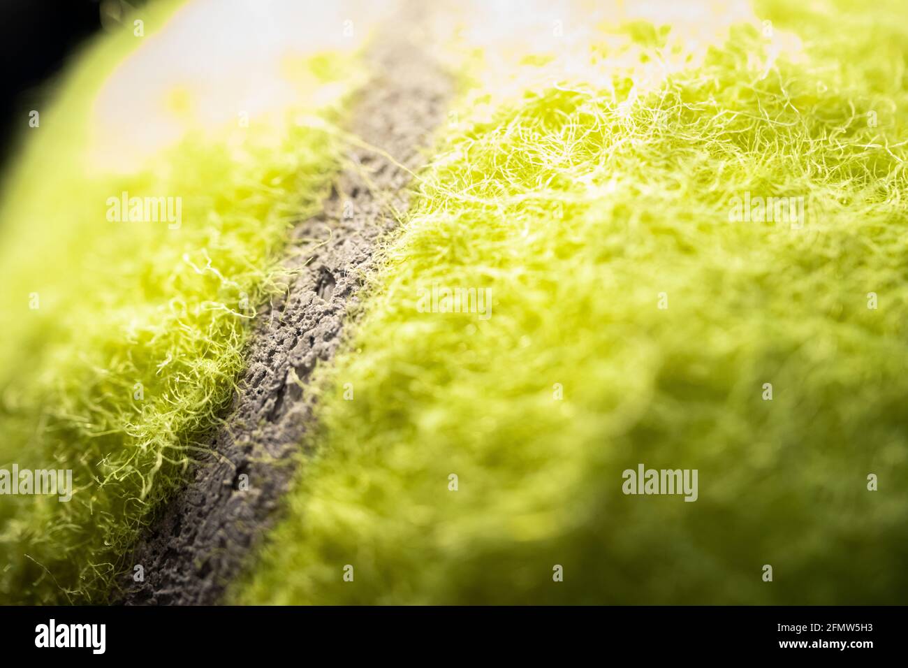 Macro Shot of Tennis Ball Seam and Texture Illuminated by Bright Light ...
