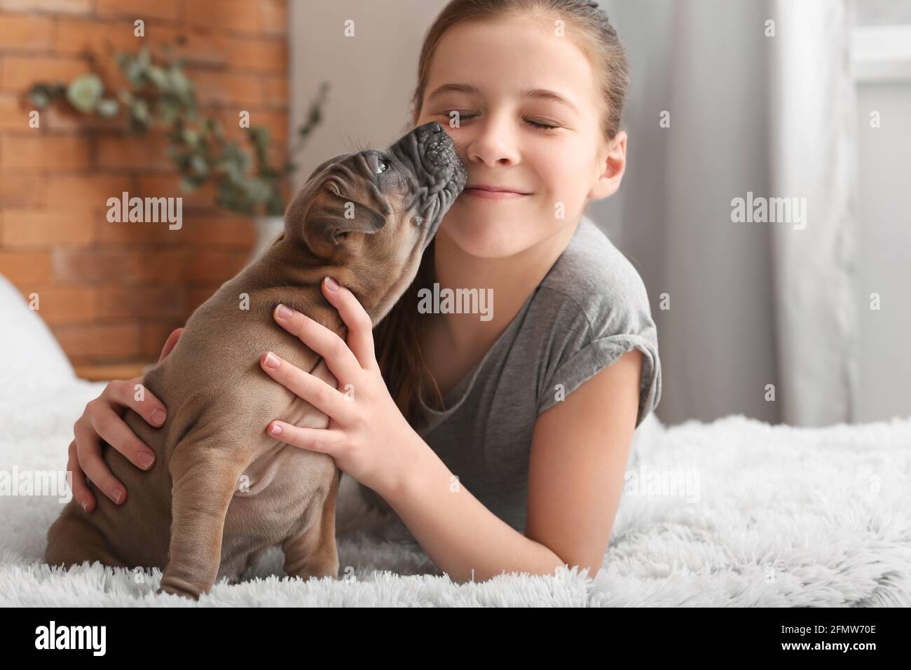 Cute girl with puppy at home Stock Photo - Alamy