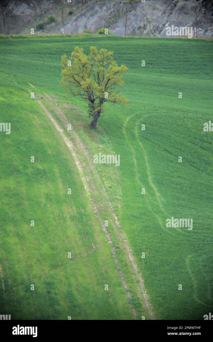 Slope hill path hi-res stock photography and images - Alamy
