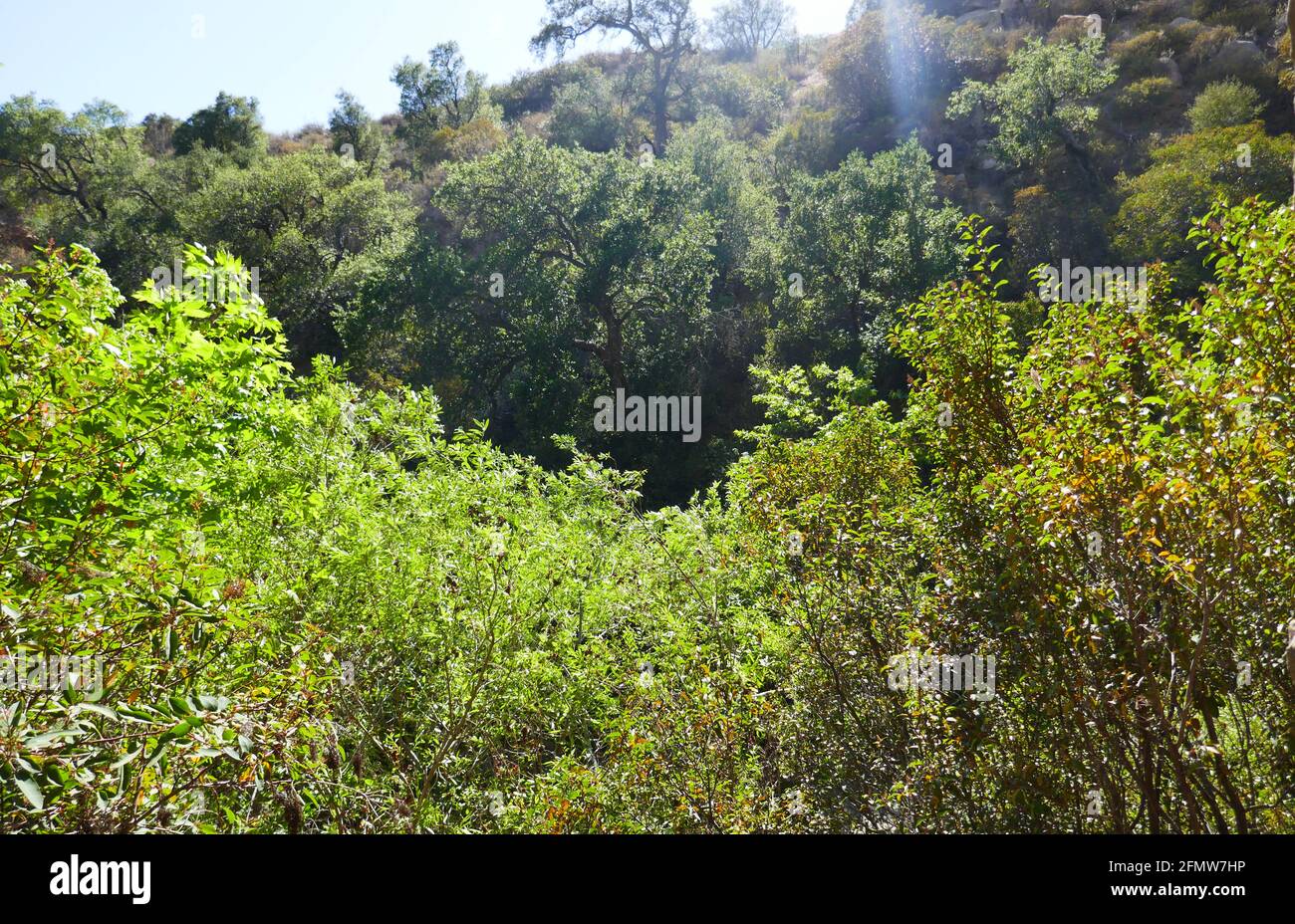 Chatsworth, California USA 3rd May 2021 A general view of atmosphere of ...