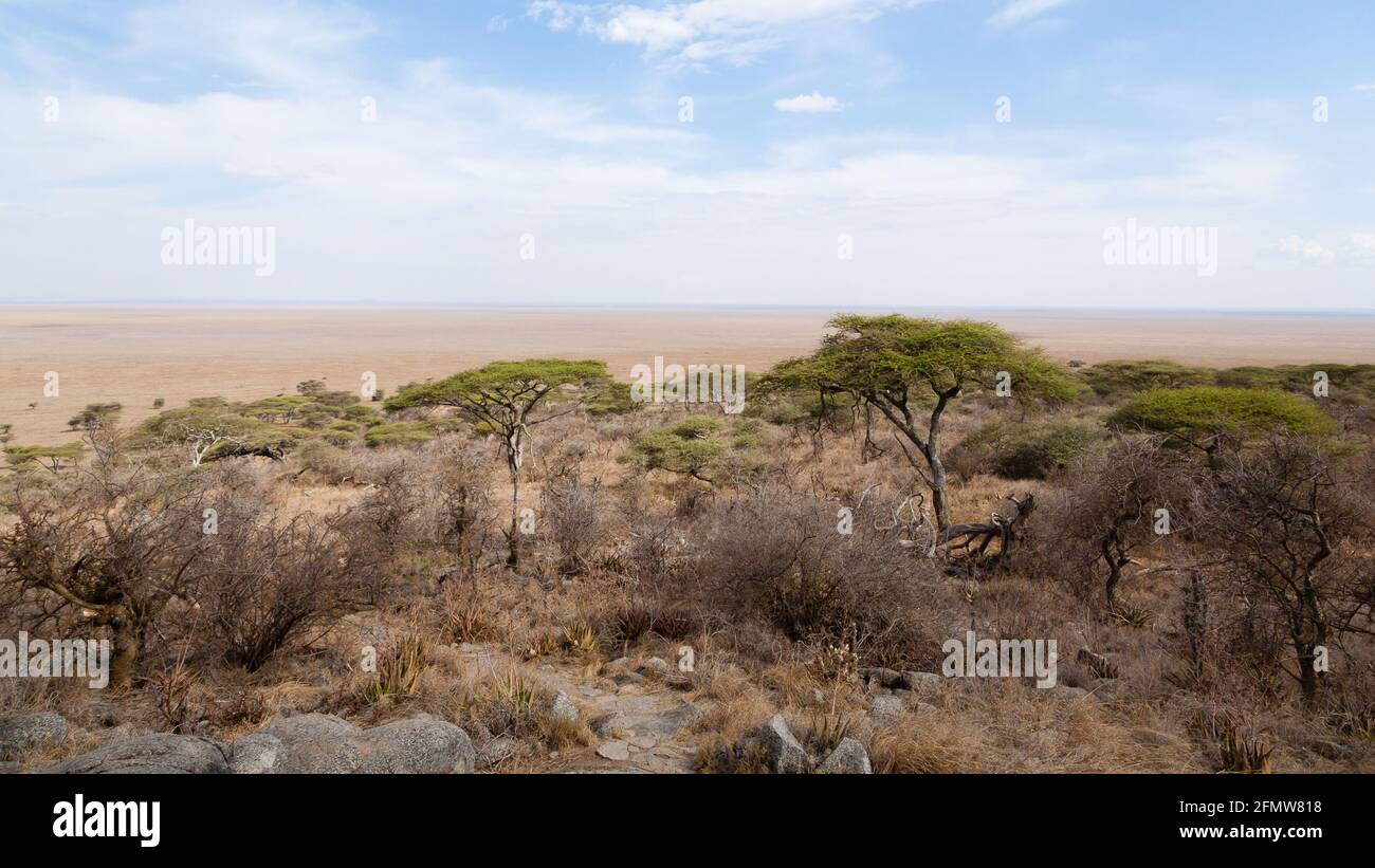 Road to Serengeti national park, Tanzania landscape. African panorama ...