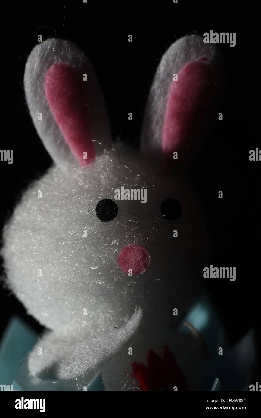 Bunny model hi-res stock photography and images - Alamy