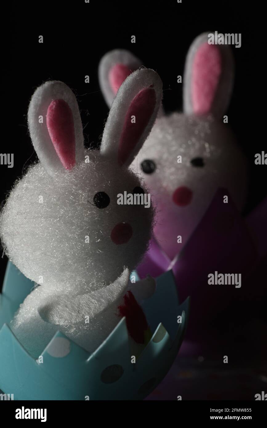 A still life studio vertical image on a black background of two white ...