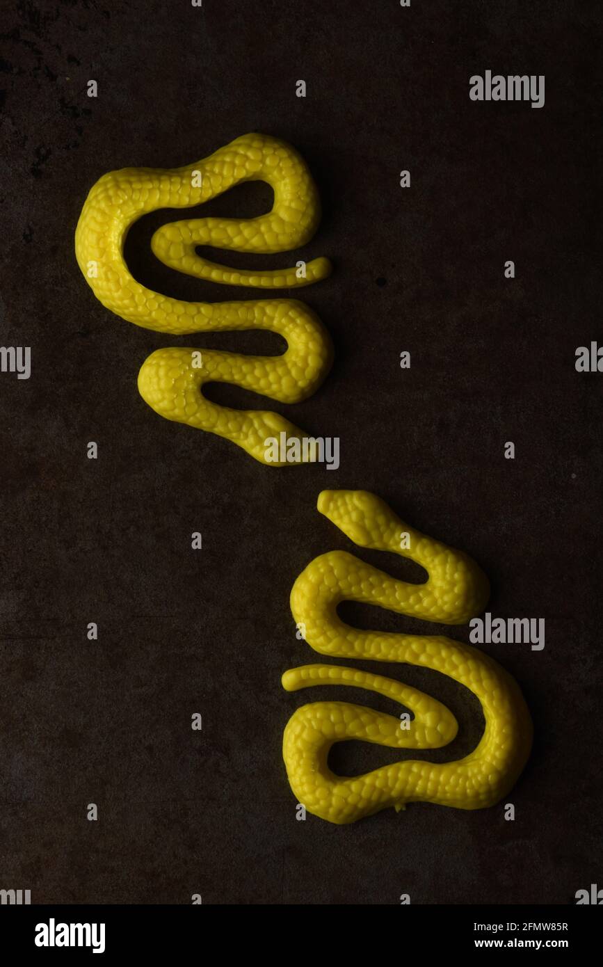 A still life studio vertical image on a tarnished metal background of ...