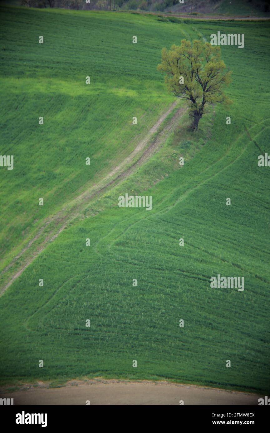 Slope Hill Path High Resolution Stock Photography and Images - Alamy