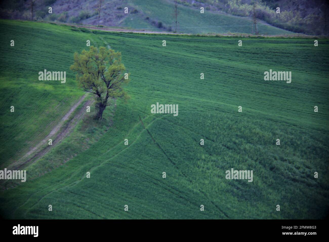 Slope hill path hi-res stock photography and images - Alamy