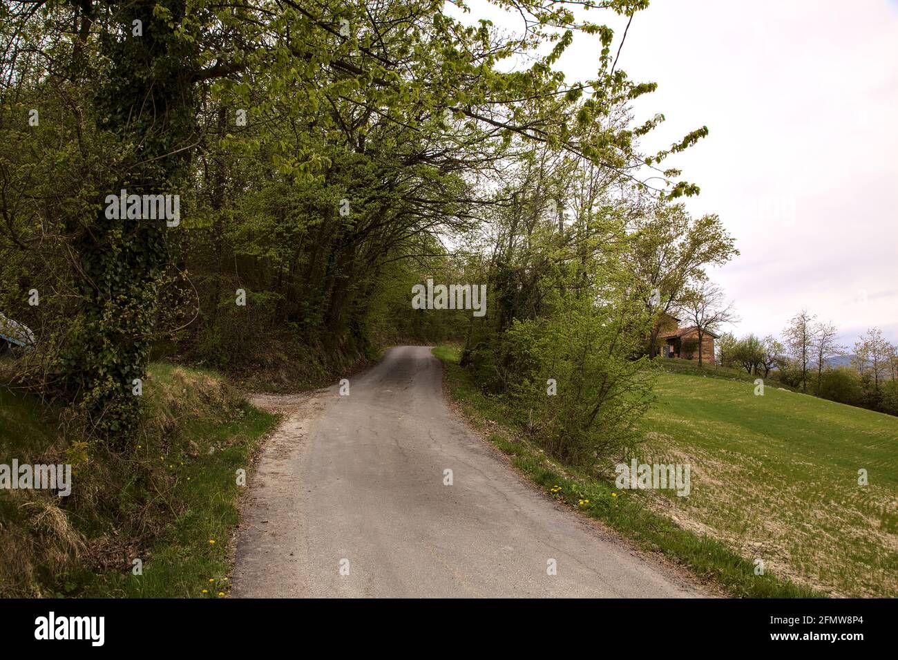 Italian hillside hi-res stock photography and images - Alamy