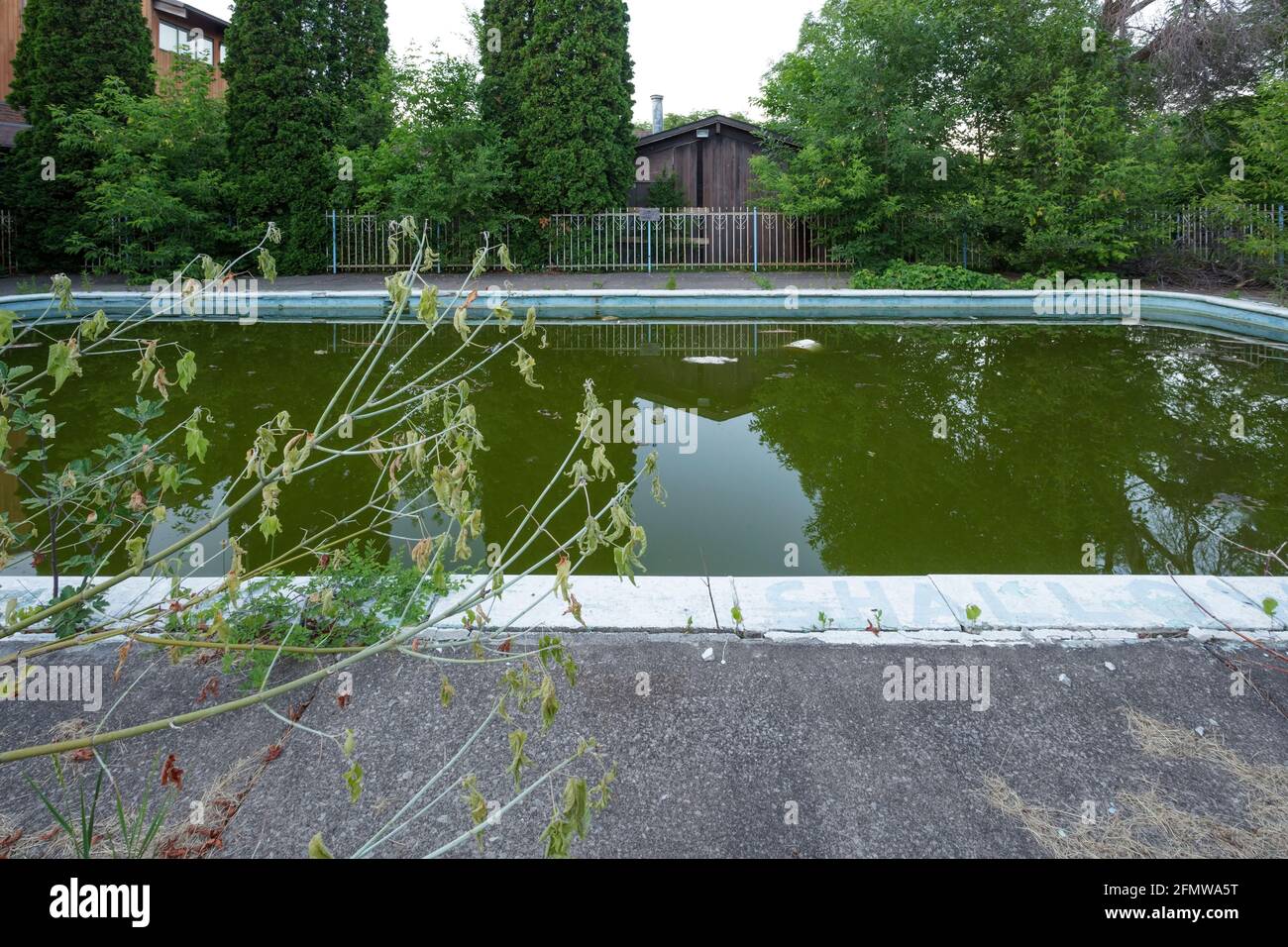 A very dirty outdoor swimming pool at an abandoned motel Stock Photo ...