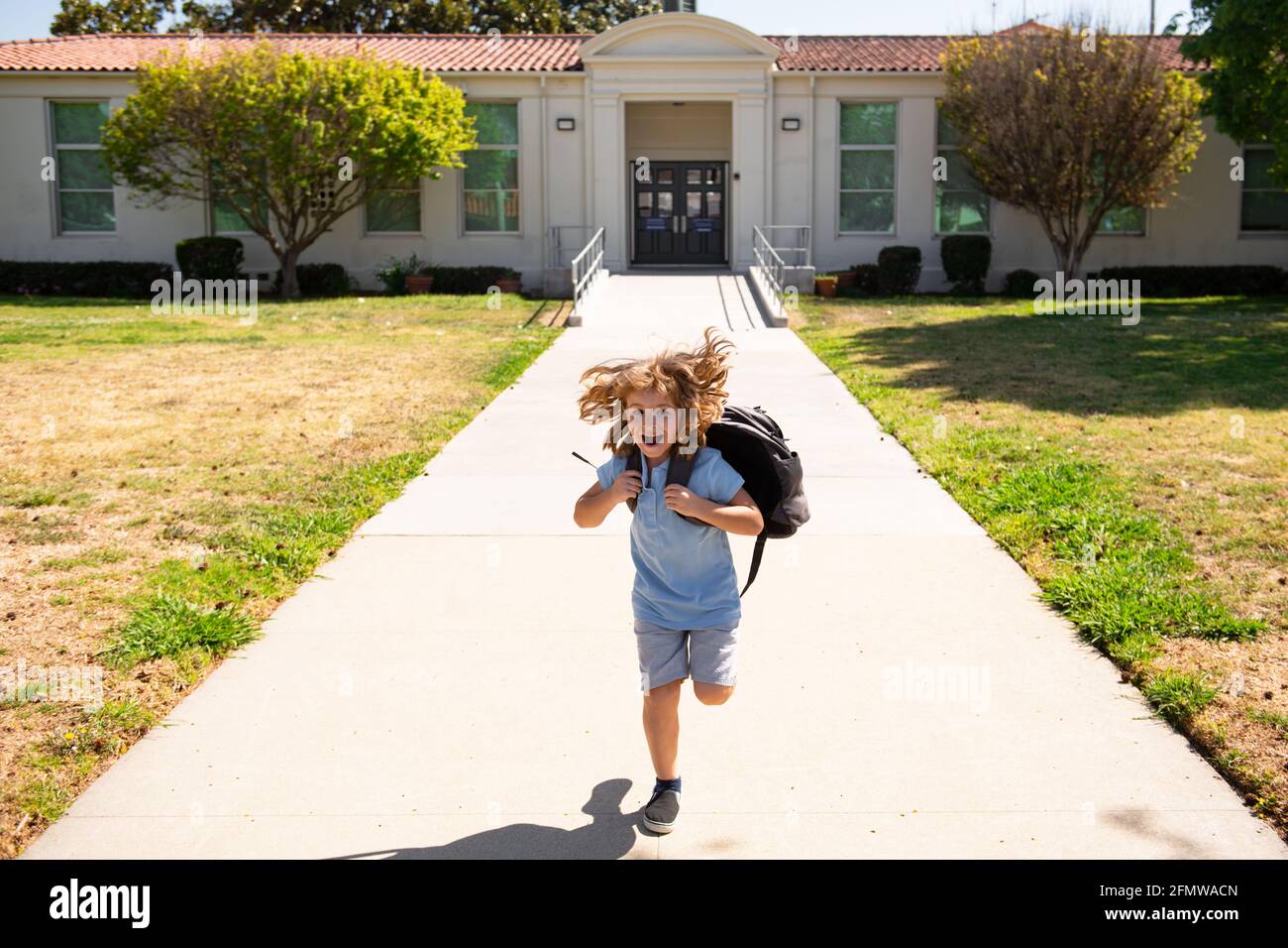 Back to school. Dynamic images that go back to the conceptual school ...