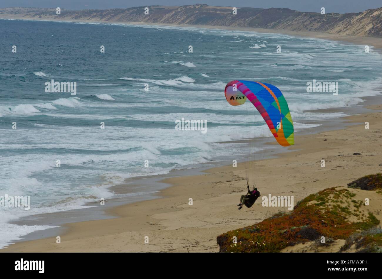 Paragliding off the dunes in Monterey California Stock Photo - Alamy