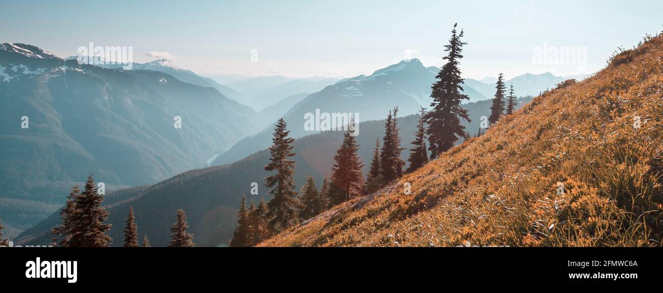 Beautiful mountain peak in North Cascade Range, Washington, USA Stock ...