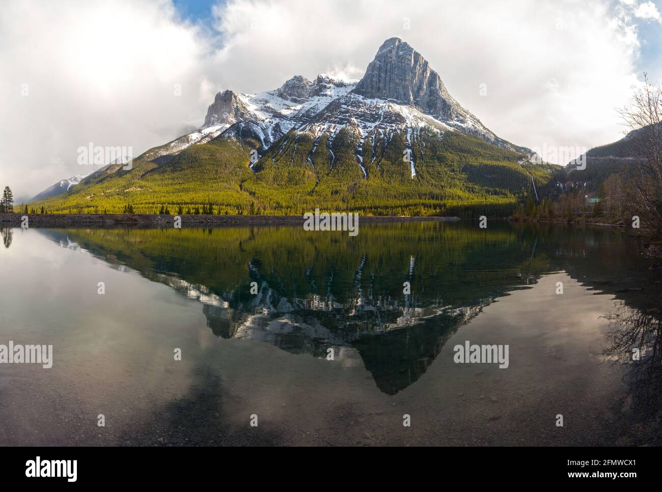 Reflectional Symmetry In Nature