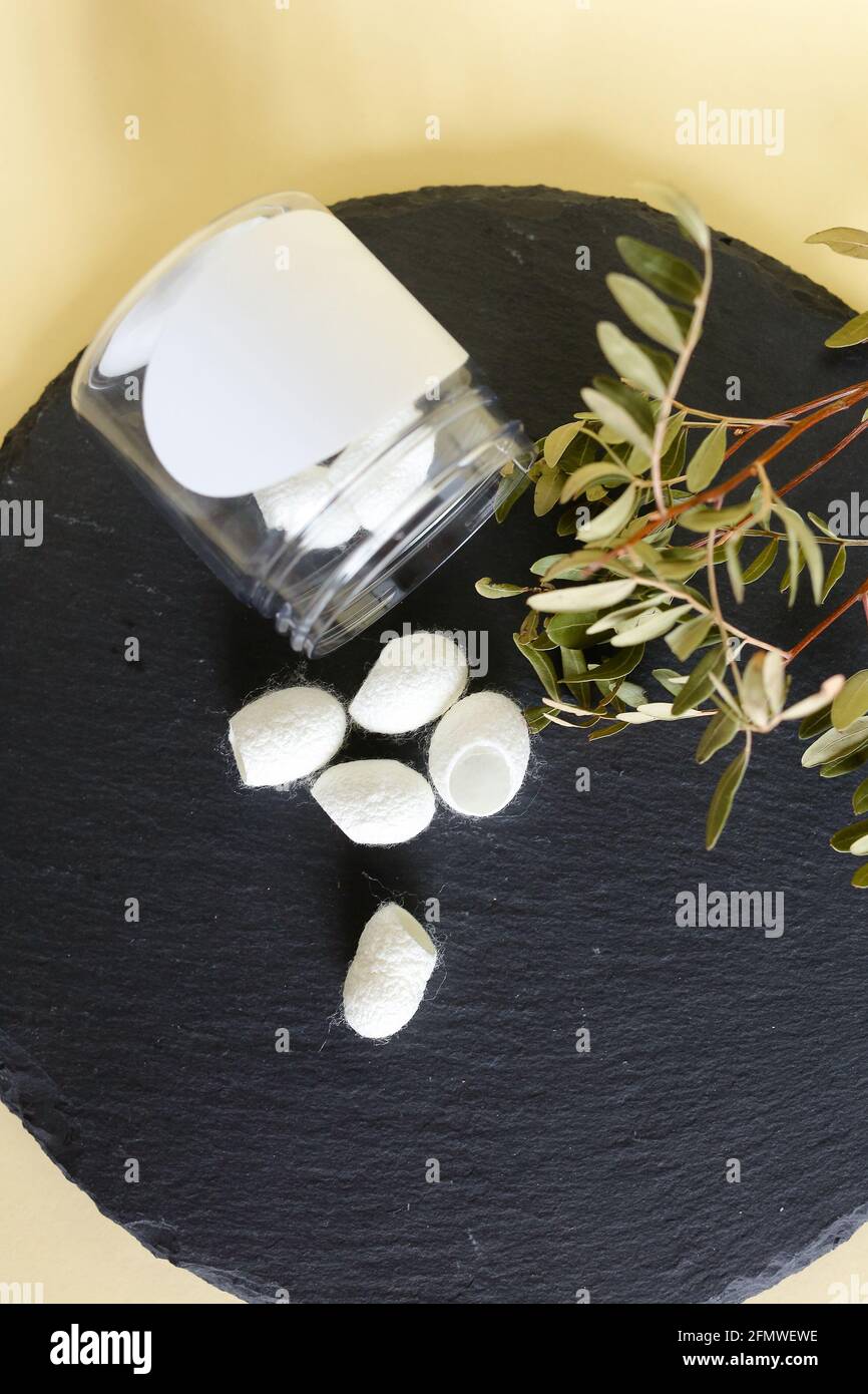 Natural white cocoons, a source of silk thread and silk fabric and can ...
