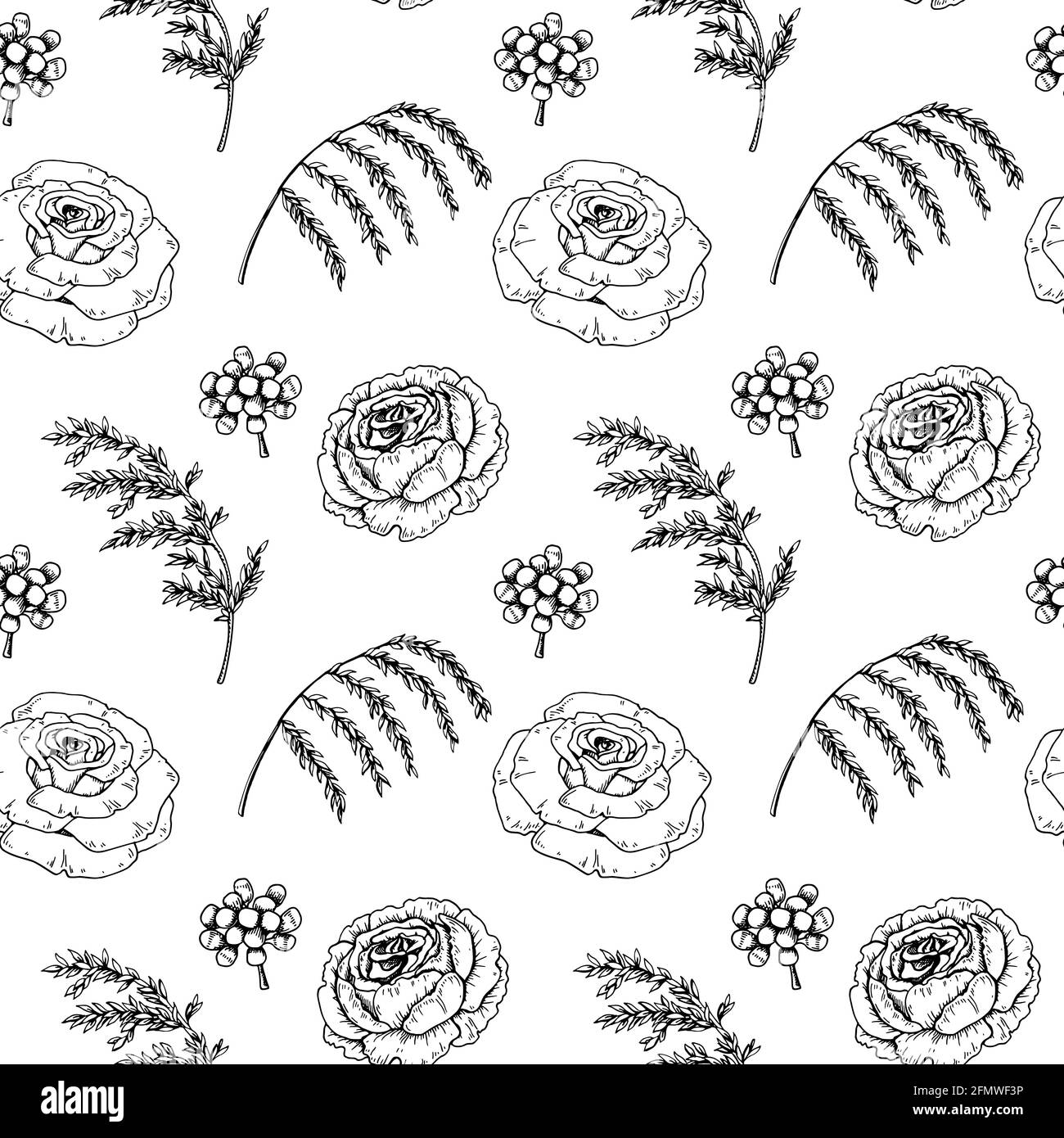 Peony hand drawn seamless Stock Vector Images - Alamy