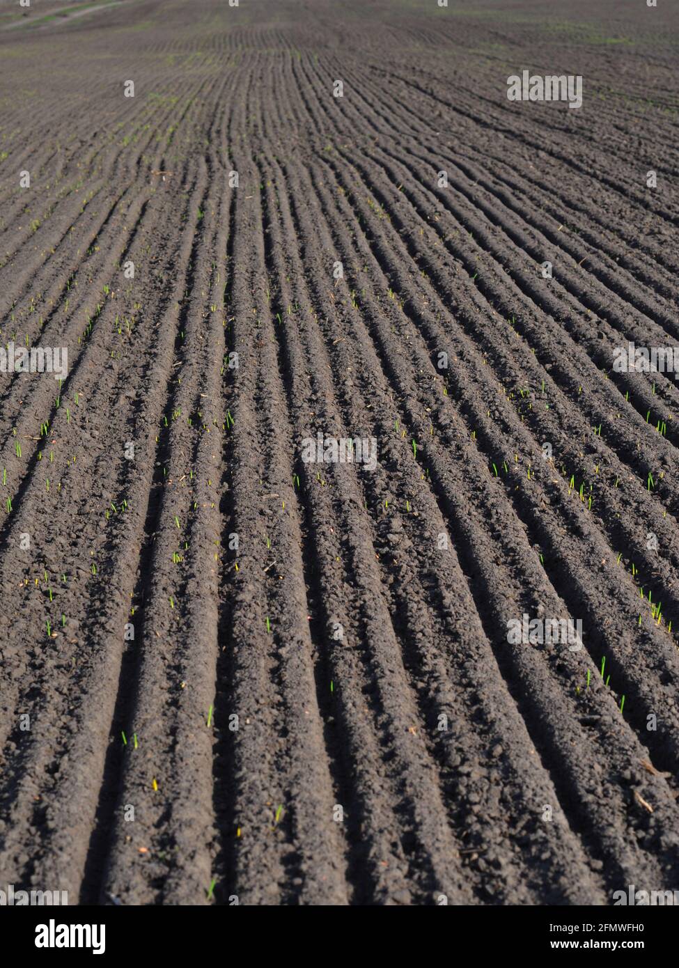 Soil background texture hi-res stock photography and images - Alamy