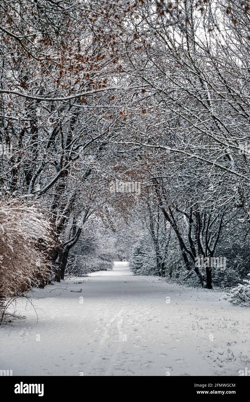 January scenery hi-res stock photography and images - Alamy