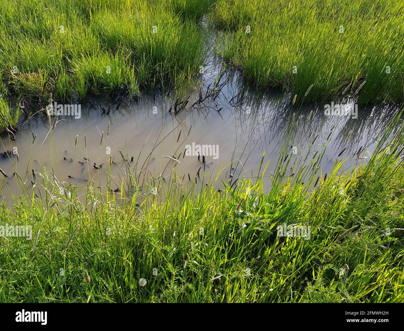 Muddy ditch hi-res stock photography and images - Alamy