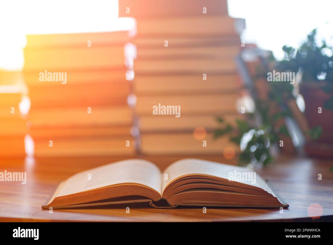 Open book on a table hi-res stock photography and images - Alamy