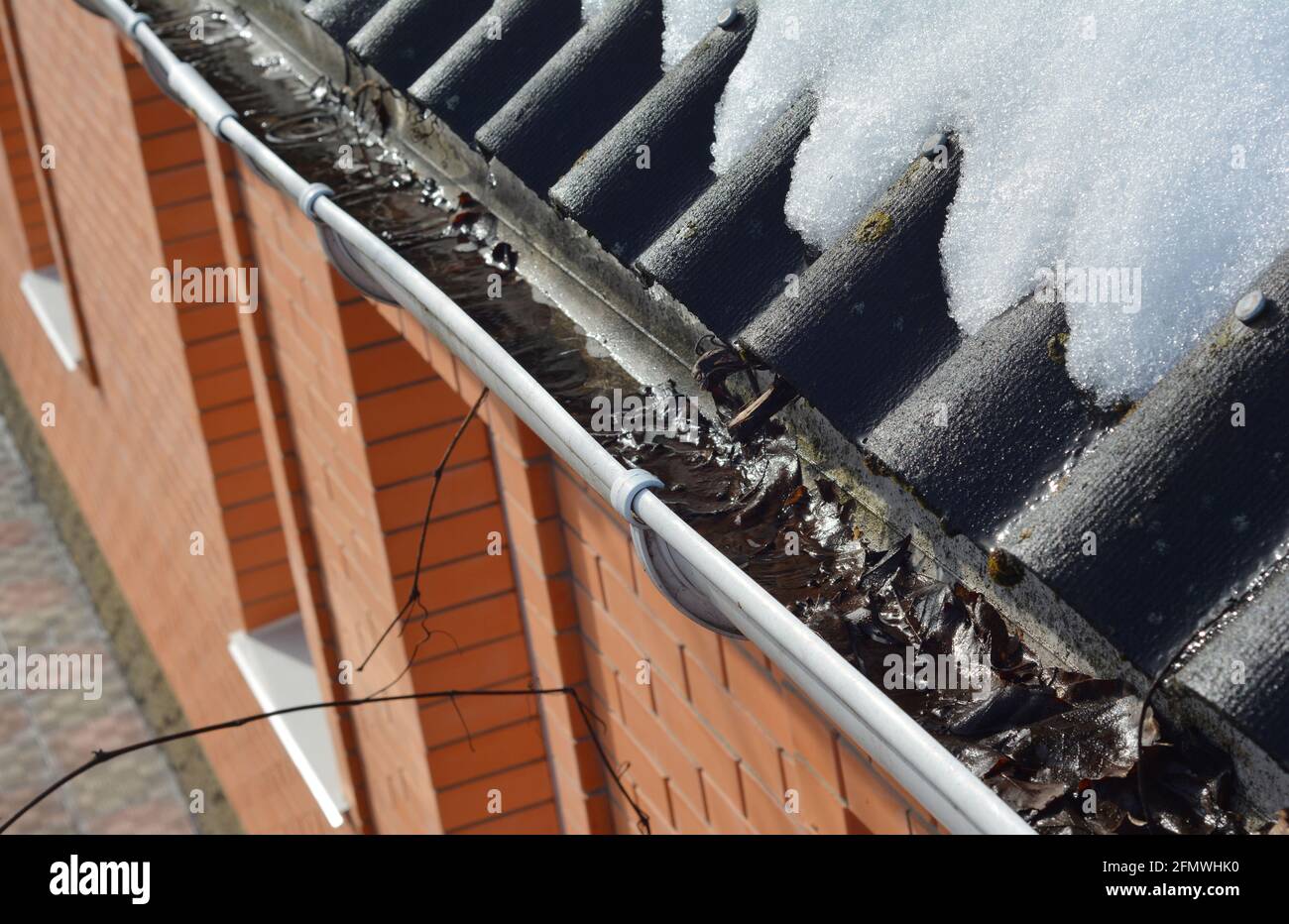A close-up of a clogged, uncleaned roof gutter with last year fallen ...