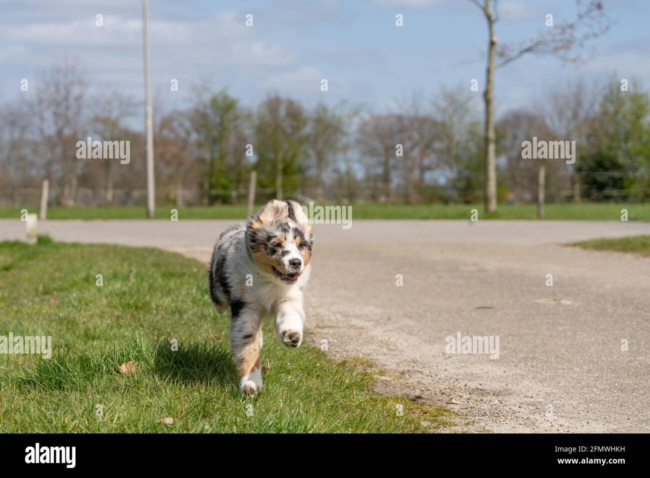 Flapping ears to cool hi-res stock photography and images - Alamy