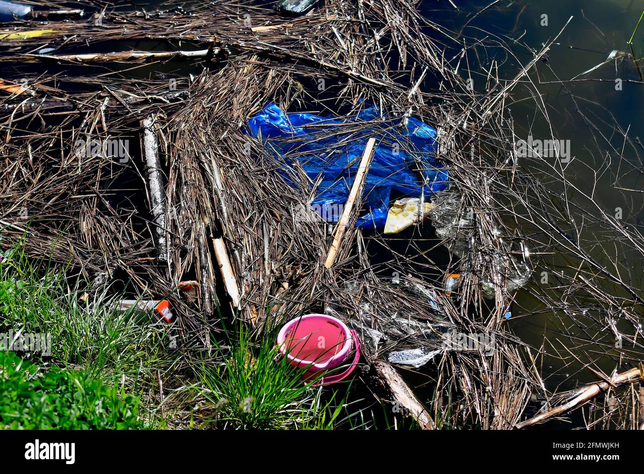 environmental pollution in a pond in Germany Stock Photo - Alamy