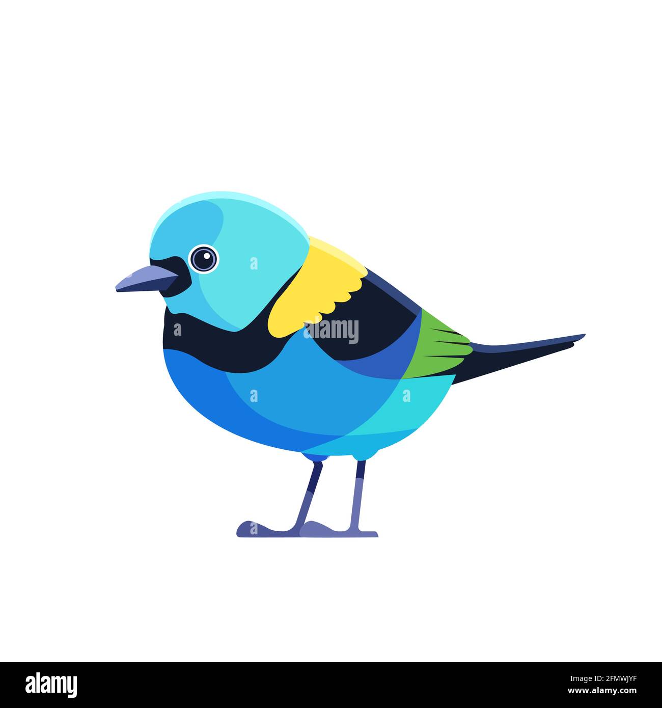 Green headed tanager hi-res stock photography and images - Alamy