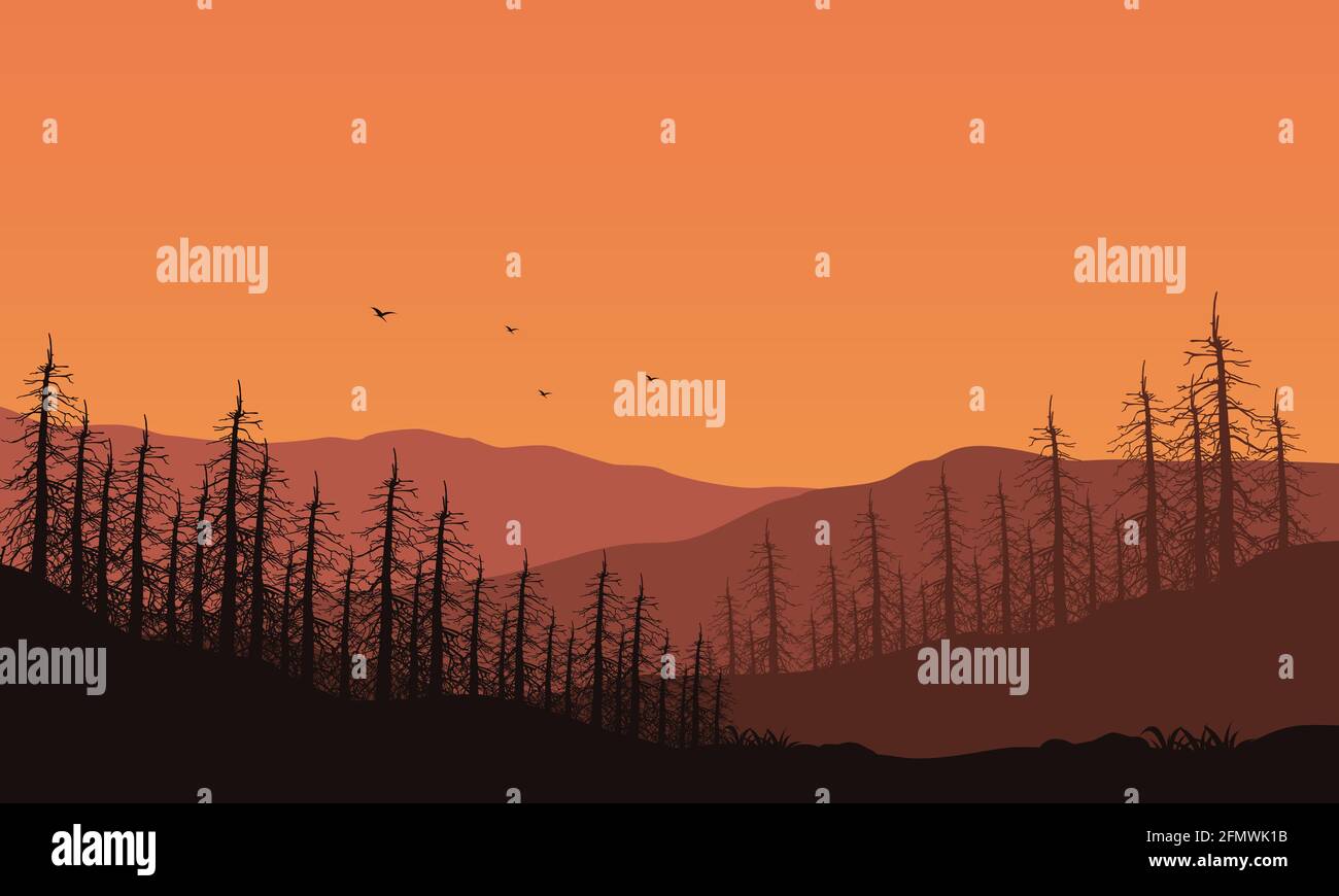 A panoramic view of the beautiful twilight sky with silhouetted views ...
