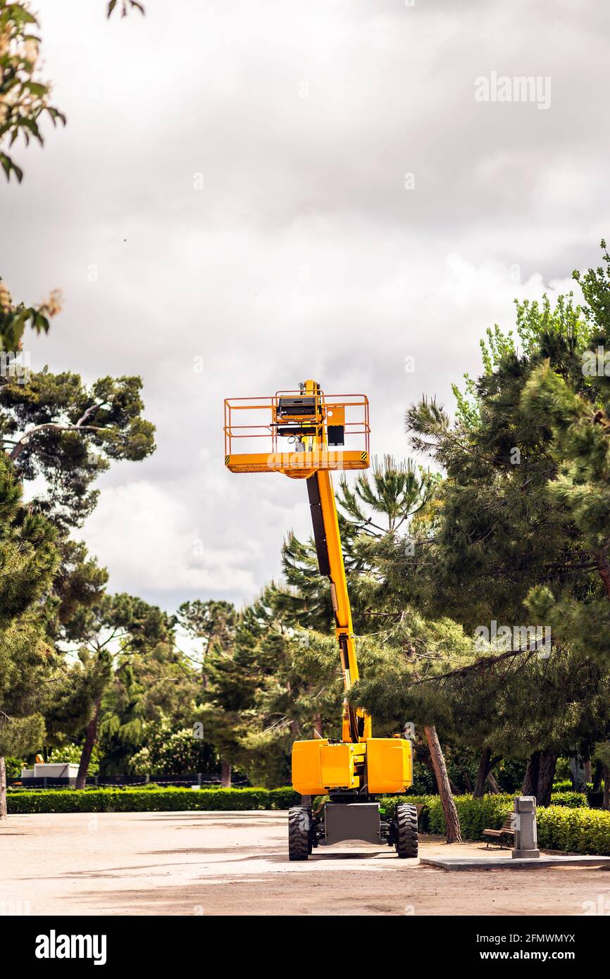 mobile elevating platform over the treetops for tree pruning Stock ...